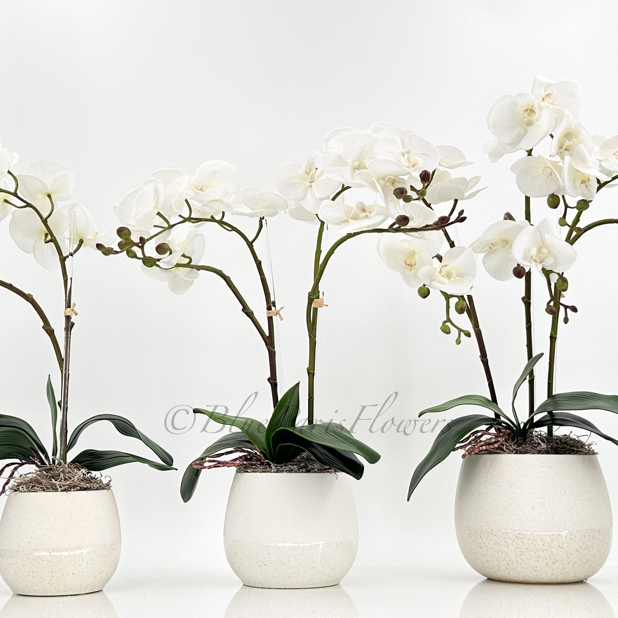 Blue Paris Flowers - Faux Flowers in Vase